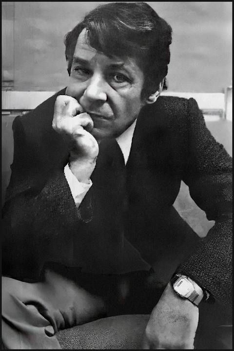 M.E. Mystery Epidemic – Tapanui 'Flu Blog